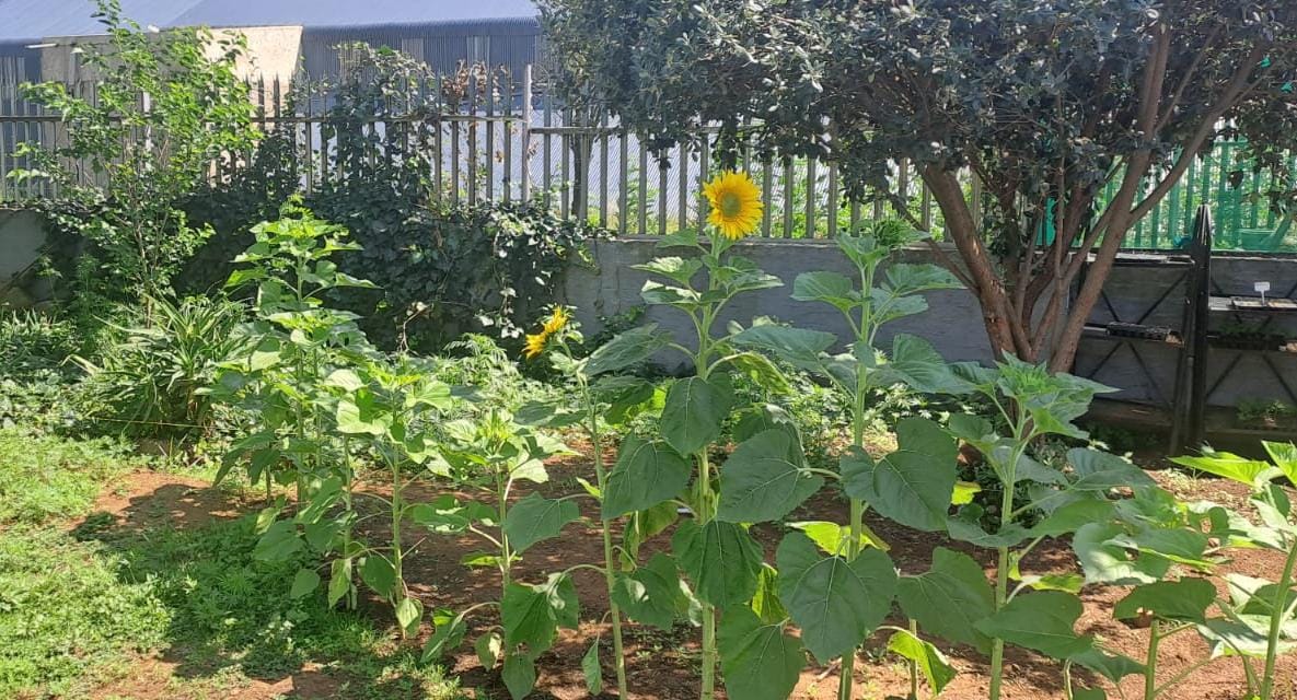 Raudatul Islah – A Garden for Reformation